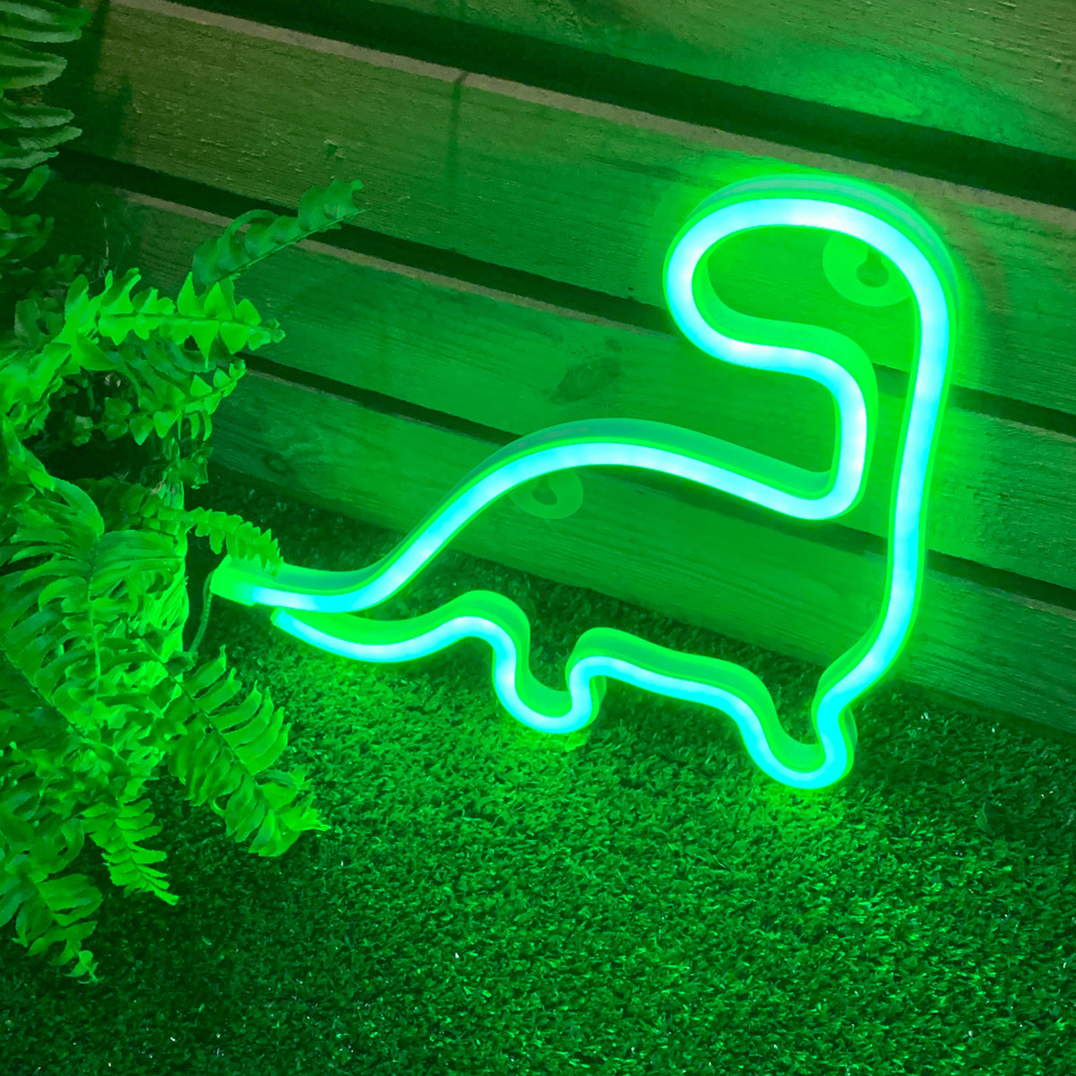 DINOSAUR Acrylic Neon LED Light – Rup & Forn